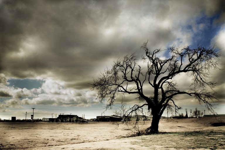 Silent Spring PDF Summary - Rachel Carson | 12min Blog